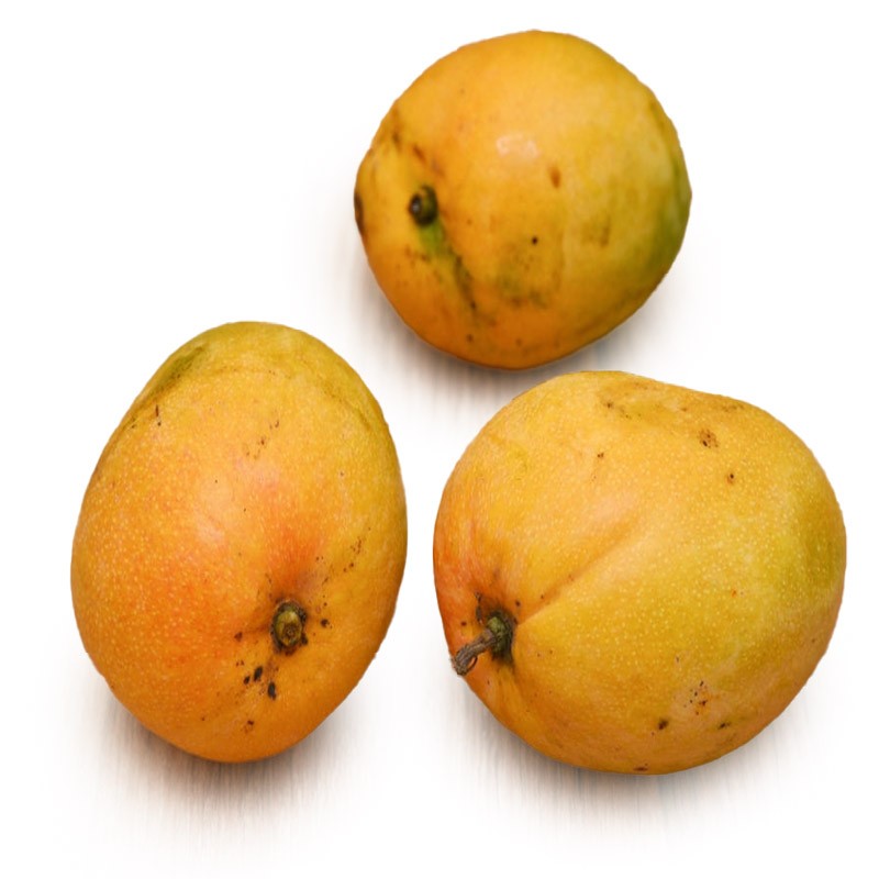 Buy Alphonso Mango Full of Taste & Health Benefits | FreshLeaf UAE