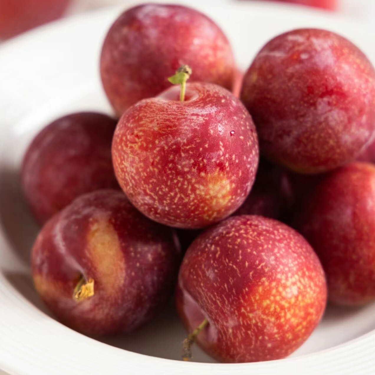 Cherry Plum - Fresh Leaf UAE