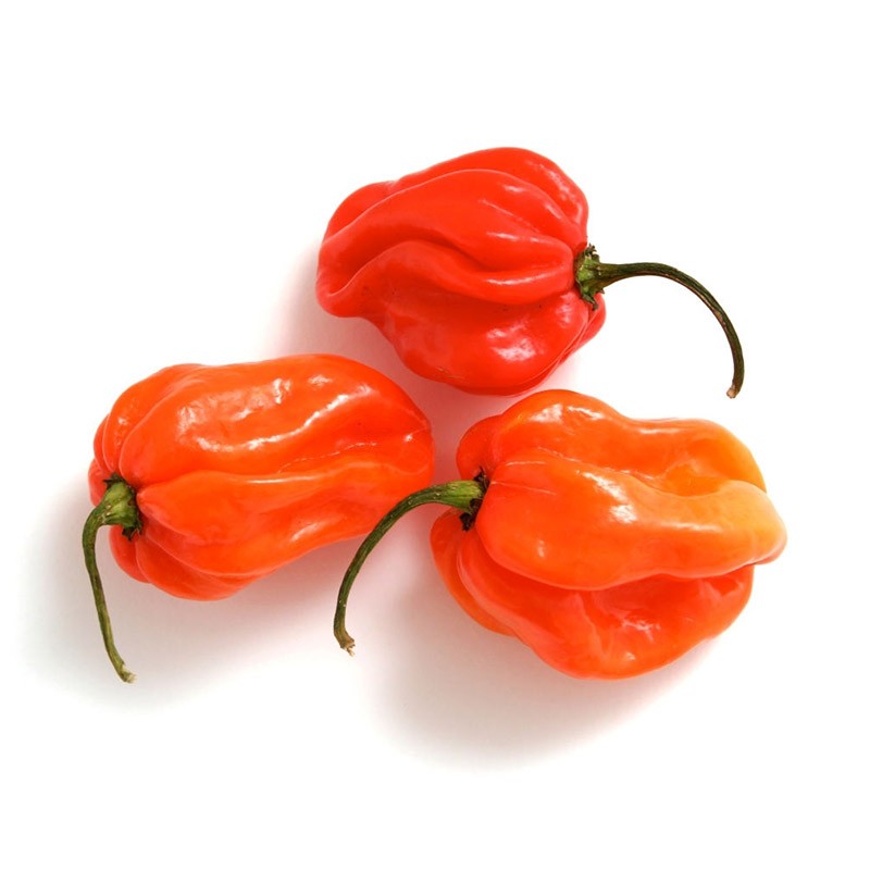 Buy Fresh Habanero Chilli Green | Freshleafuae.com