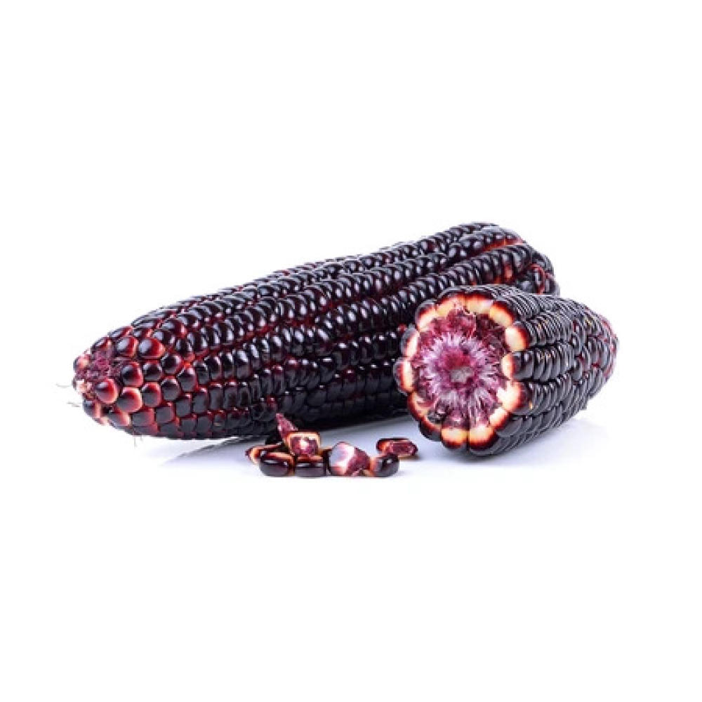 Sweet Corn Black - Fresh Leaf UAE