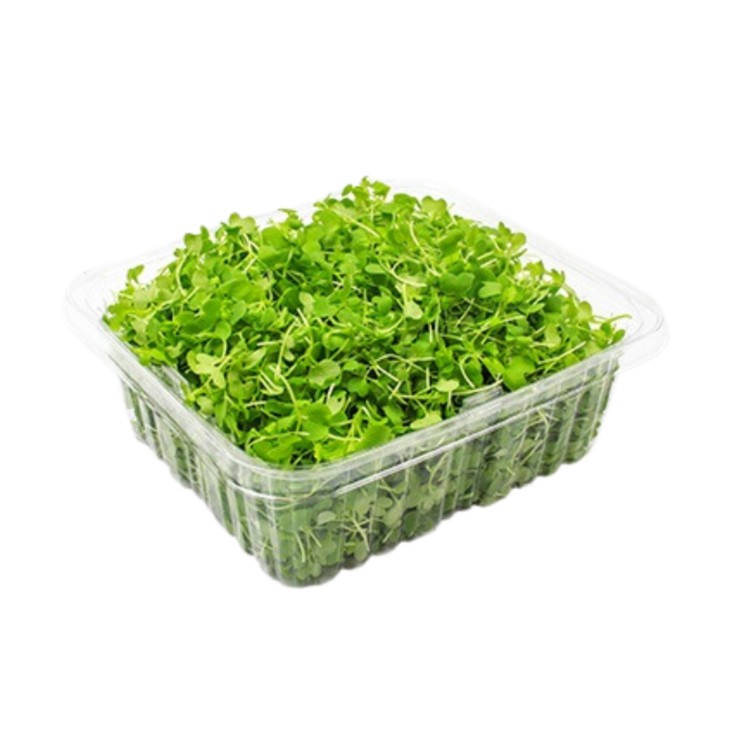 Buy Fresh Micro Arugula Cress Box in UAE | Fresh Leaf UAE