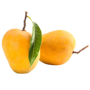 Buy Alphonso Mango Full of Taste & Health Benefits | FreshLeaf UAE
