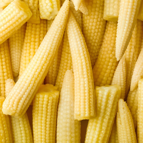 Baby Corn - Fresh Leaf UAE