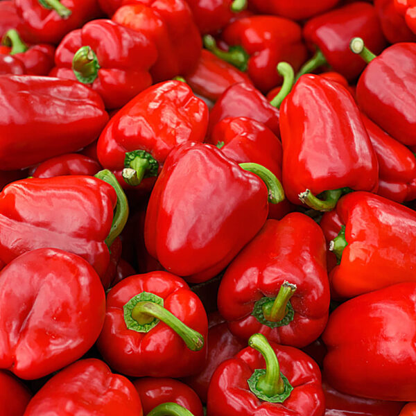 Buy fresh Capsicum Red in Dubai - Fresh Leaf UAE