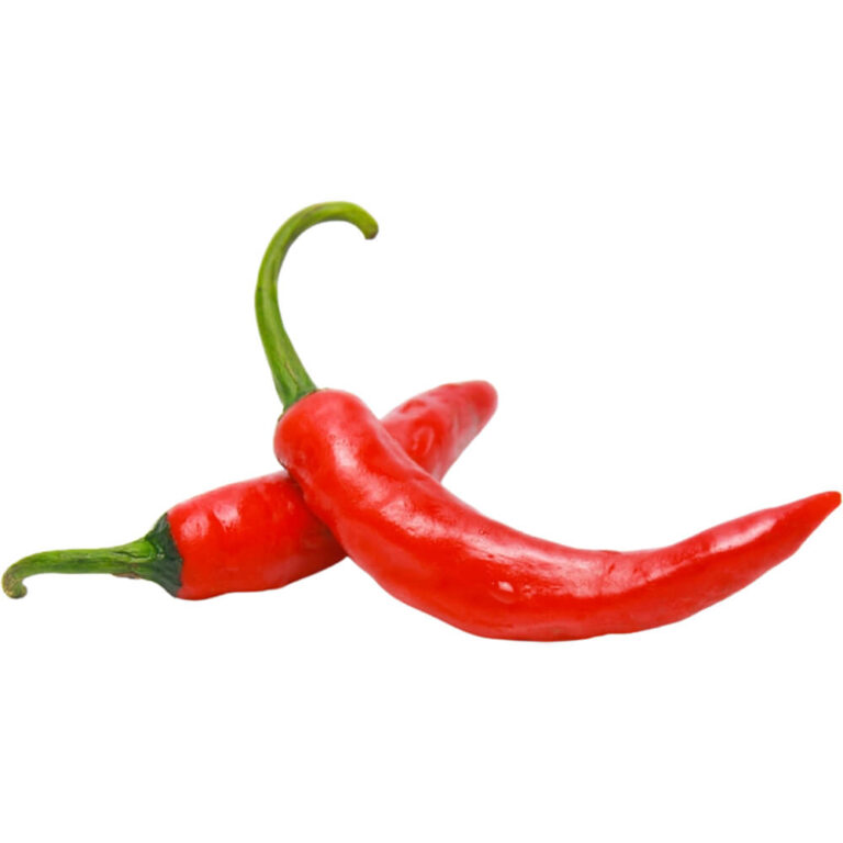 Buy Chili Red Bird Eye (Kanthari Chilli) UAE -Fresh Leaf UAE