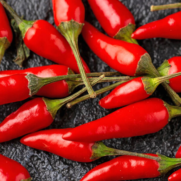 Buy Chili Red Bird Eye (Kanthari Chilli) UAE -Fresh Leaf UAE