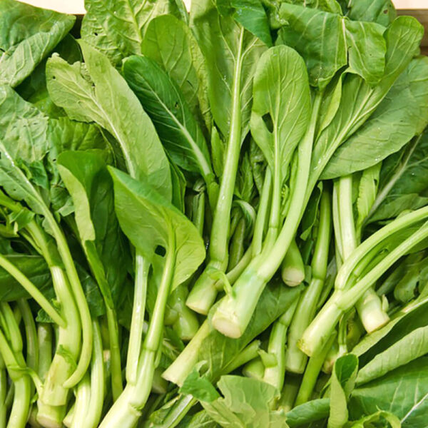 Buy Choy Sum A Common Ingredient in Chinese Cuisine | Freshleaf UAE
