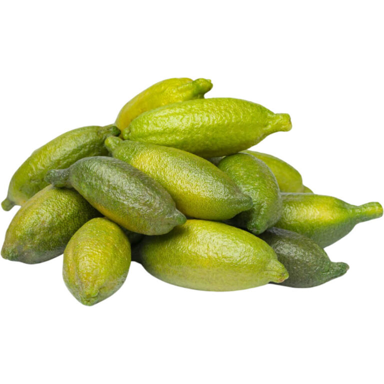 Buy Fresh Finger Limes (Citrus Australasica) Online in UAE