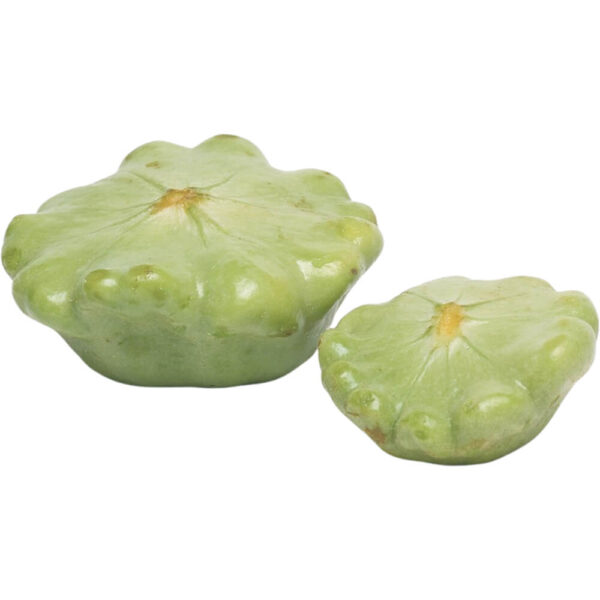 Green Patty Pan - Fresh Leaf UAE