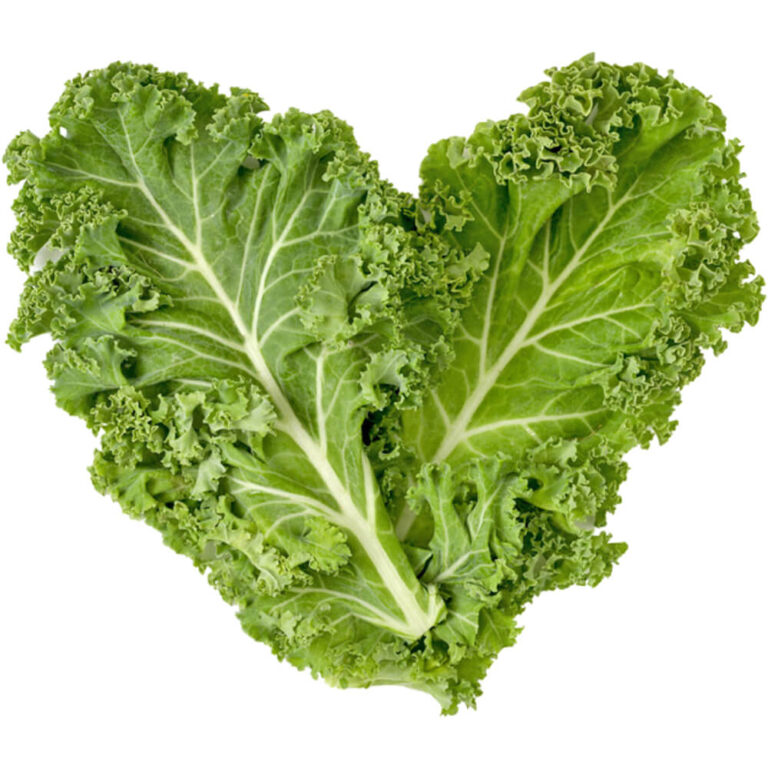 Buy Online Fresh Kale Leaves Vegetable in Dubai | Freshleaf UAE