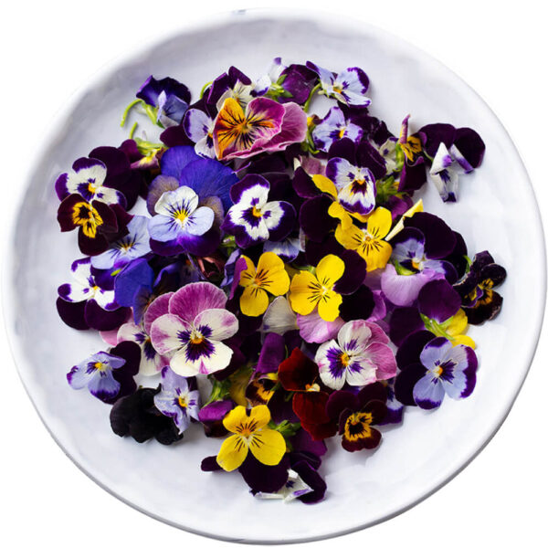 Buy Fresh Pansy Flowers Online in Dubai UAE - Fresh Leaf UAE