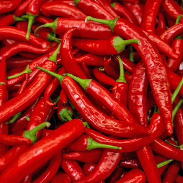Chili Red Long: Best Quality Buy Online | FreshLeaf UAE