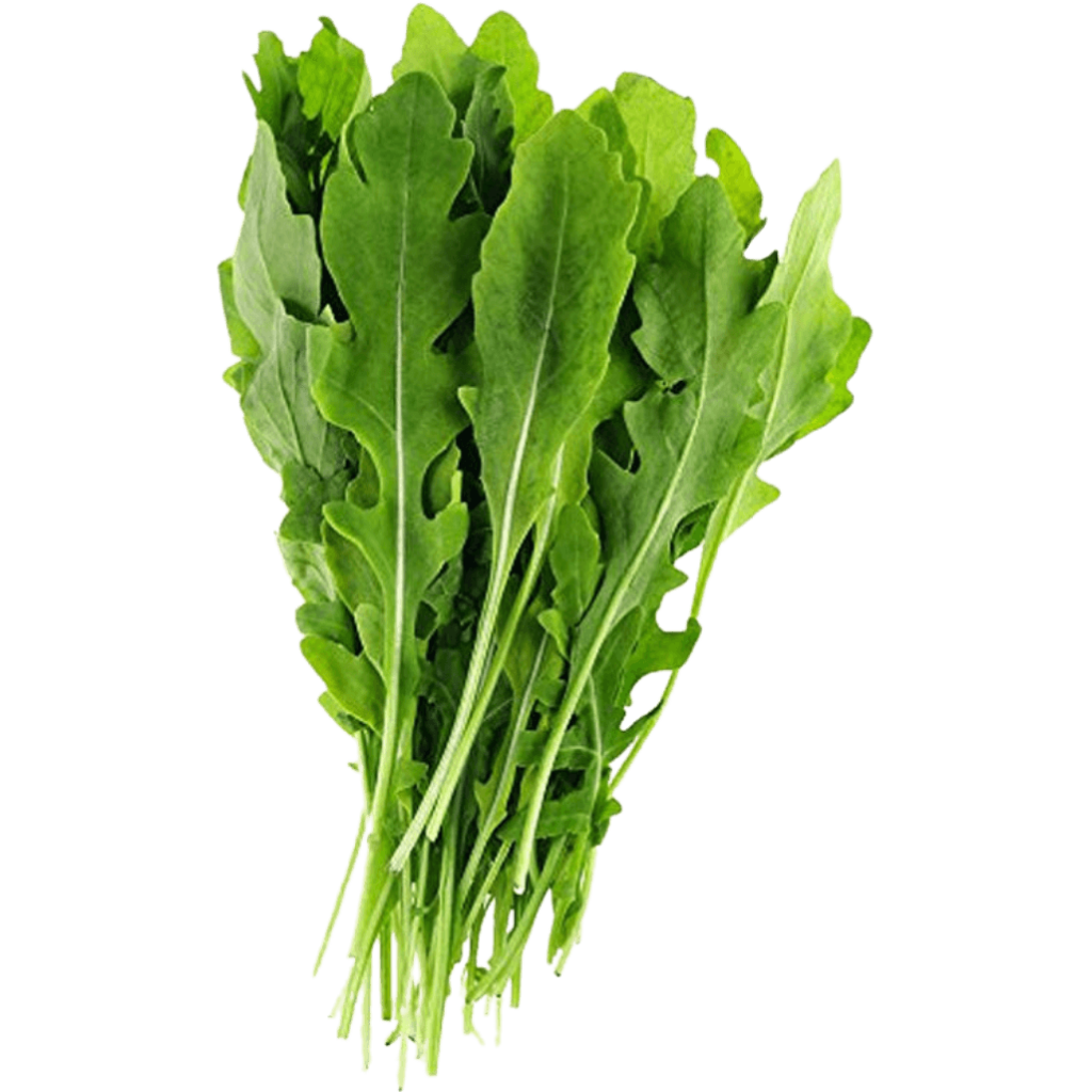 Buy Online Fresh Roca Leaves Vegetable in Dubai | Freshleaf UAE