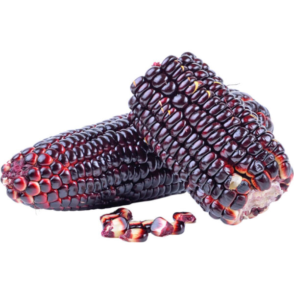 Sweet Corn Black - Fresh Leaf UAE