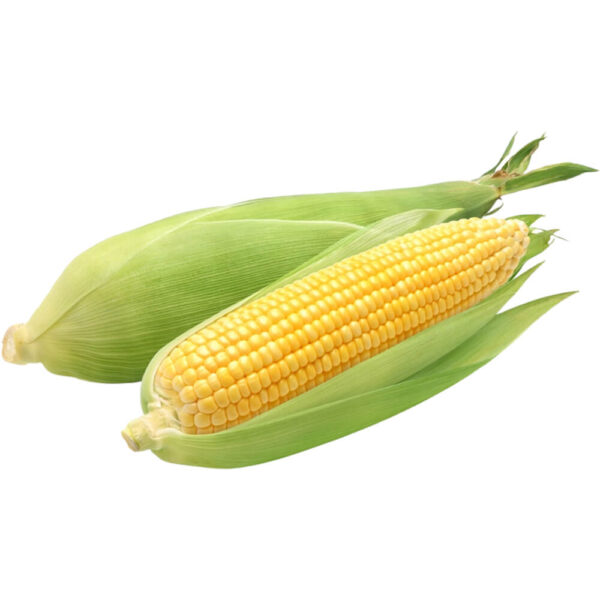 Sweet Corn - Fresh Leaf UAE