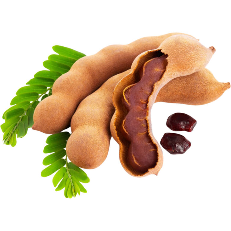 Sweet Tamarind - Fresh Leaf UAE
