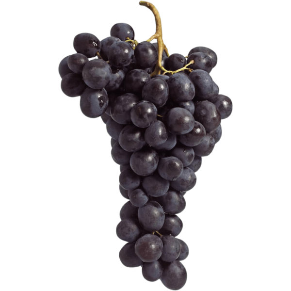 Moscato Grape Black - Fresh Leaf UAE