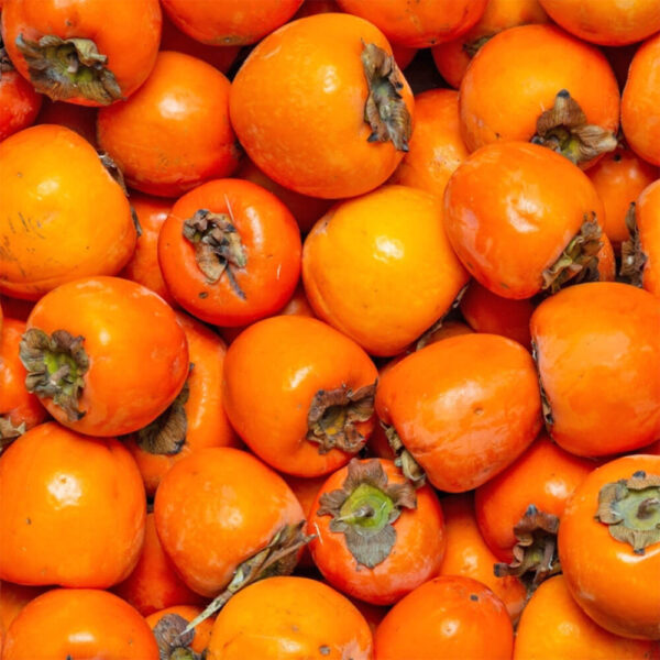 Kaki - Fresh Leaf UAE