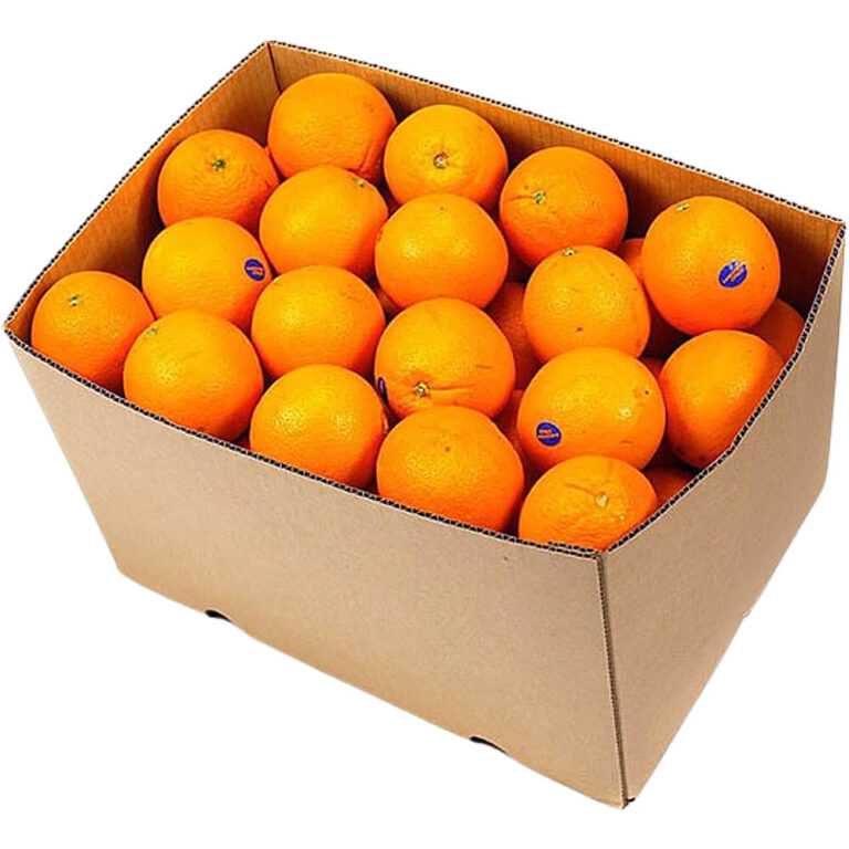 Orange Navel Box - Fresh Leaf UAE
