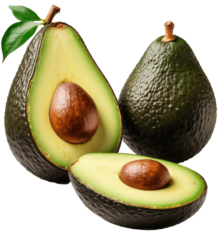 Avocado Stages of Ripeness - FreshLeaf UAE