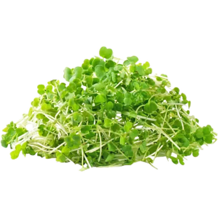 Cress - Fresh Leaf UAE